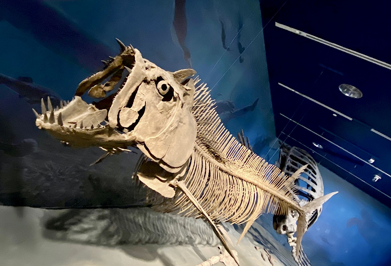 Bismarck's Astonishing Museum And How To See Dakota The Dinomummy